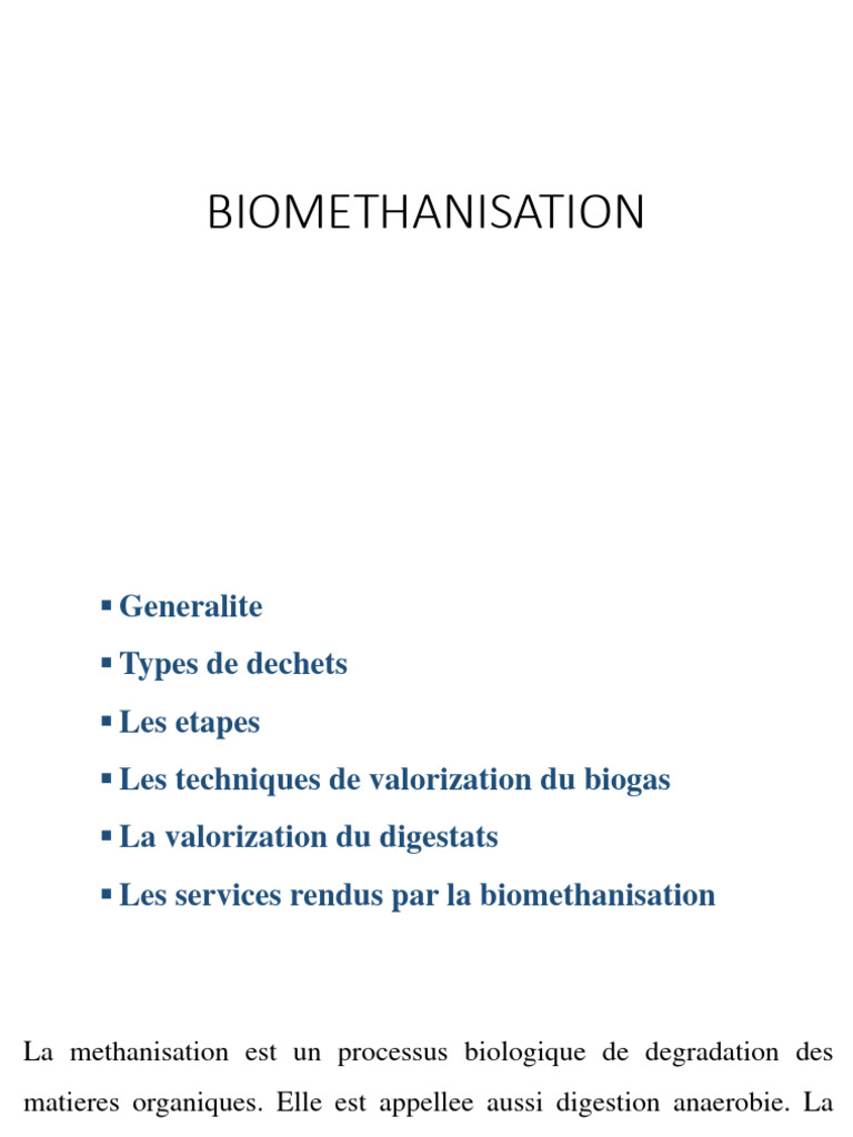 Guide complet sur la biométhanisation | PDF