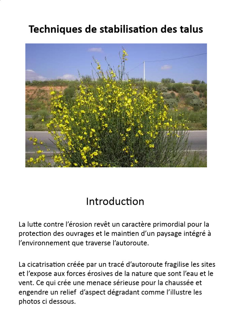 Végétalisation des Talus : Techniques et Avantages | PDF | Maison et jardin