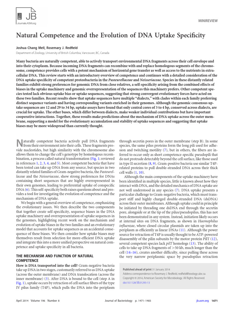 Natural Competence and Teh Evolution of DNA Uptake Specificity | PDF