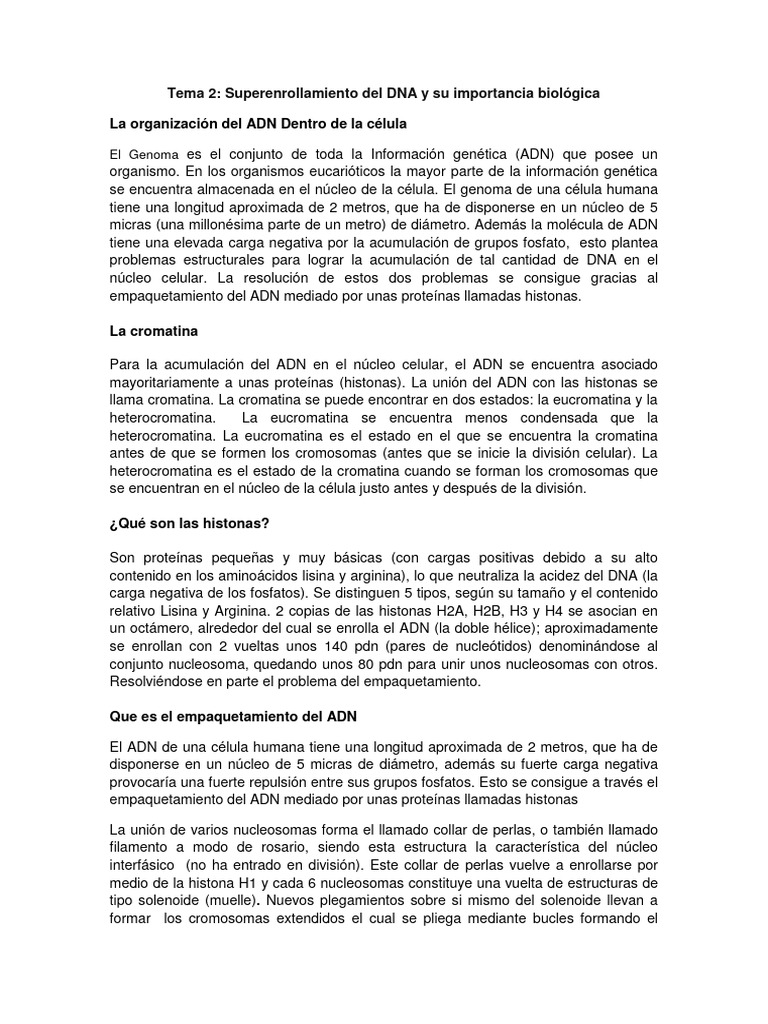Resumen Tema2 | PDF | Cromatina | Histona