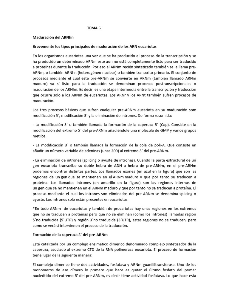 Maduración del ARNhn en Eucariotas | PDF | Messenger Rna | Rna Splicing