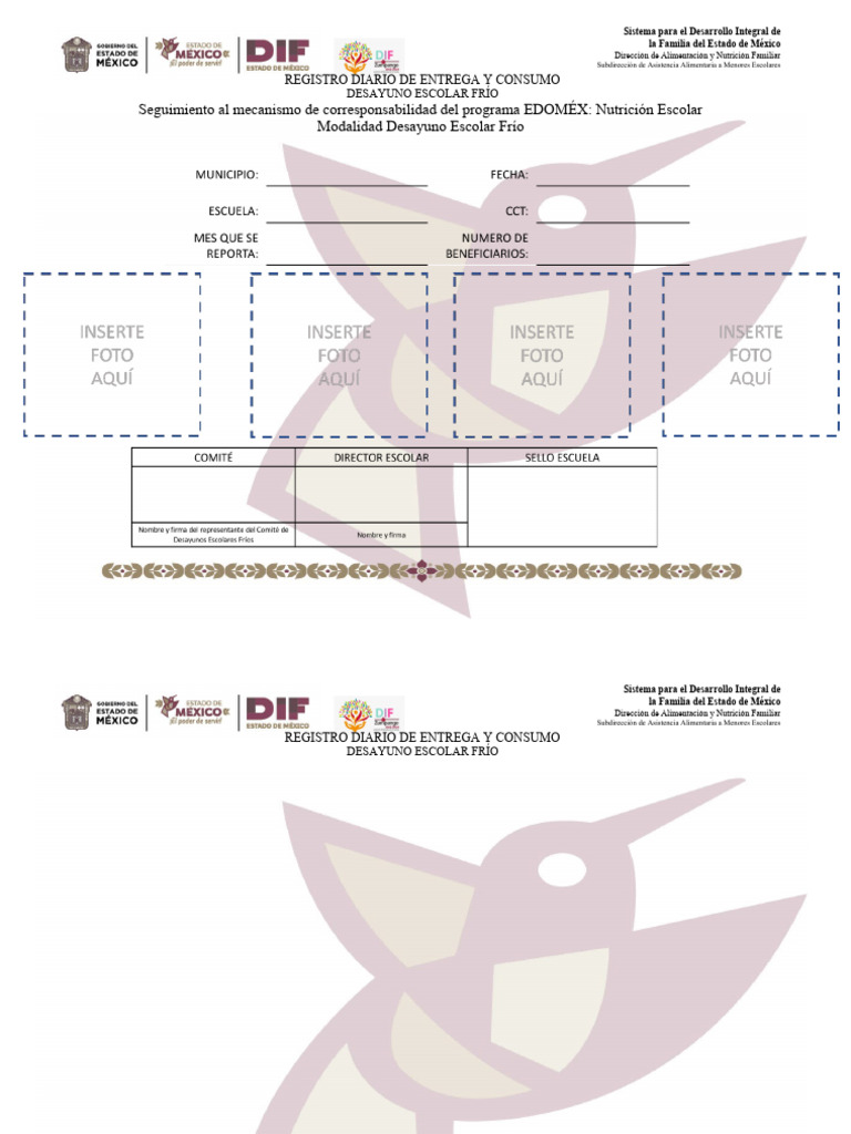 Formato Colibrí Acostado | PDF