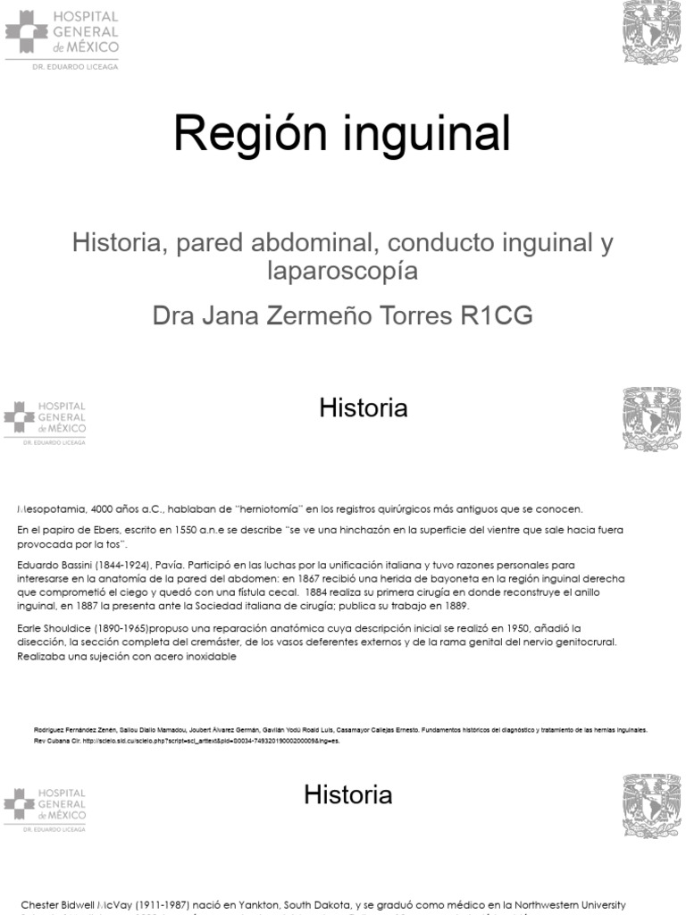 Anatomía de La Región Inguinal | PDF