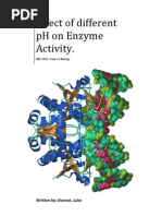 Liver Enzyme Lab | PDF | Peroxide | Catalysis