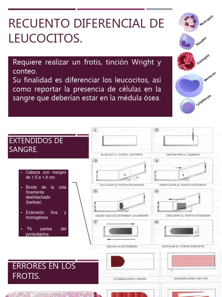 Recuento Diferencial de Leucocitos | PDF | Leucocito | Tinción