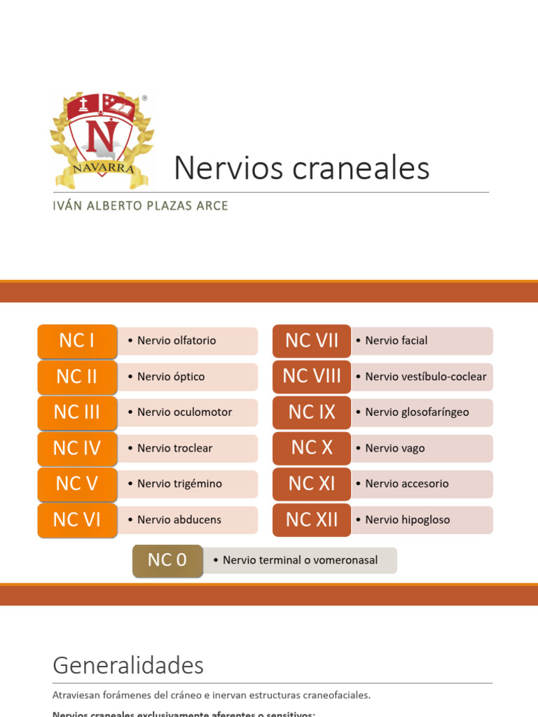 Clase 4 - Nervios Craneales | PDF | Nervio vago | Sistema nervioso
