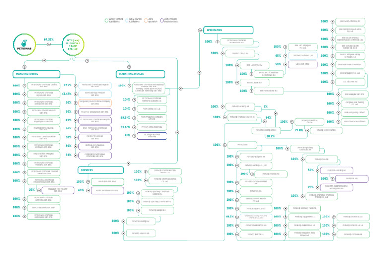 PCG Group Structure 2022 | PDF