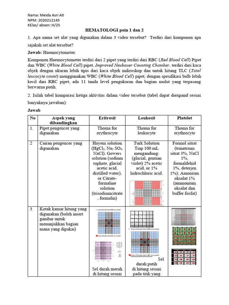 Tugas Hematologi Poin 1 & 2 Hitung Sel Darah | PDF