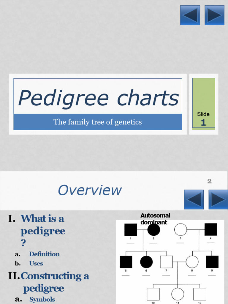 Pedigree Analysis | PDF | Dominance (Genetics) | Genotype