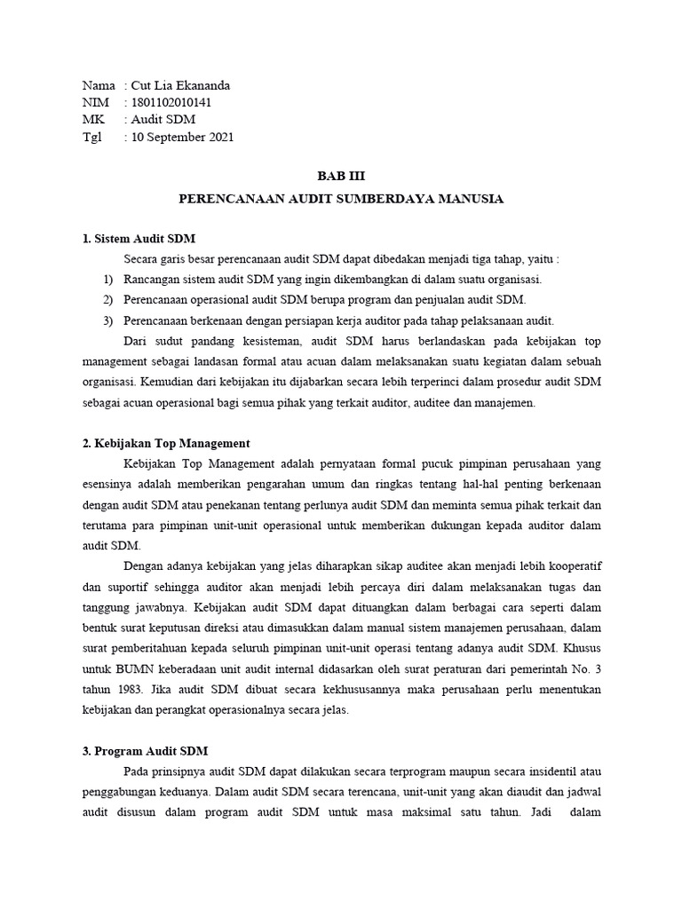 Muhammad Haykal Audit | PDF