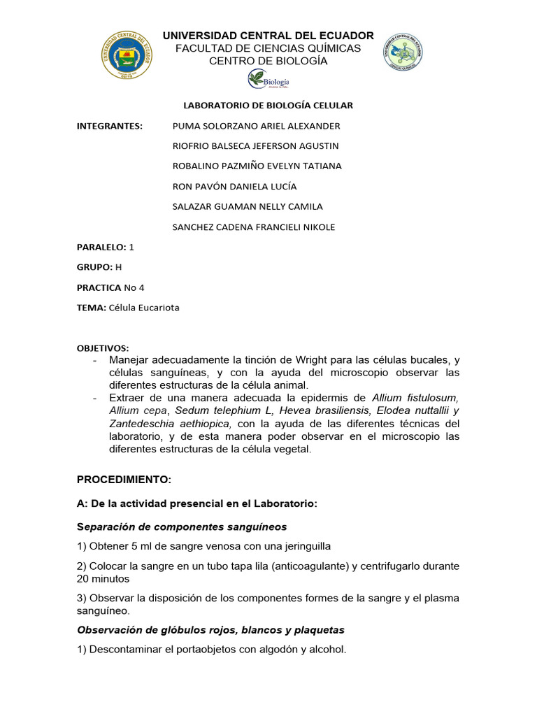 Célula Eucariota BF1-2 2022-2022 Grupo H | PDF | Citoplasma | Biología Celular)