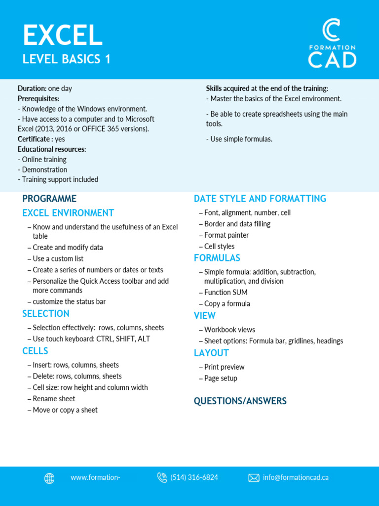 Excel Basics 1 | PDF