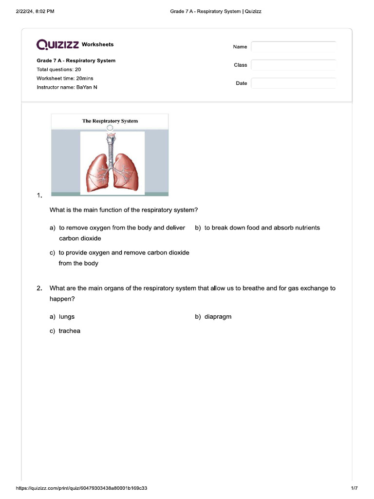 Grade 7 Respiratory System | PDF
