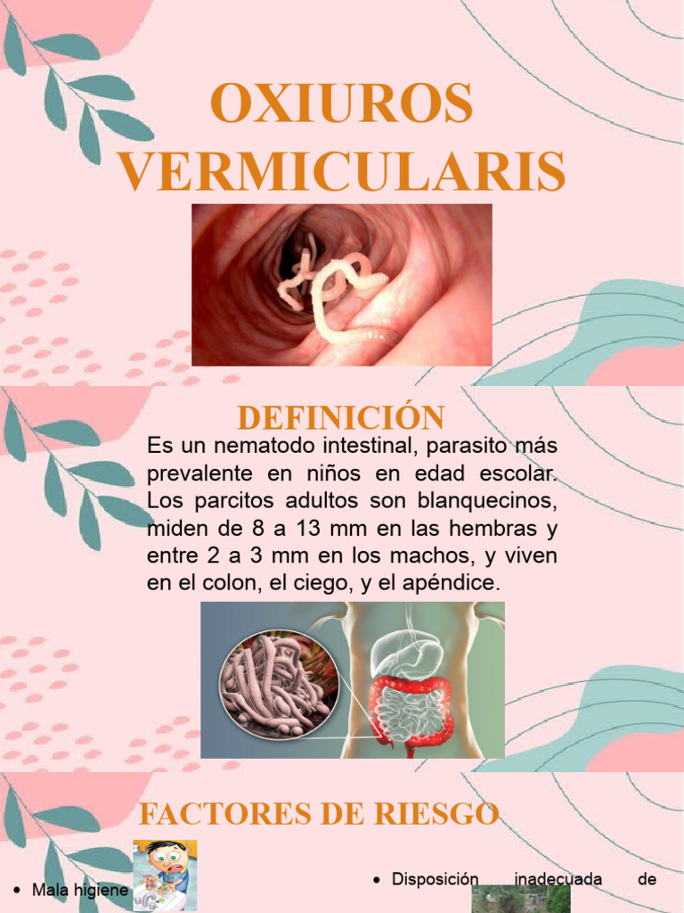 Oxiuros Vermicularis | PDF | Wellness | Science & Mathematics