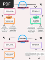 Maxicef Indicaciones, Posologia | PDF | Penicilina | Medicamentos con ...