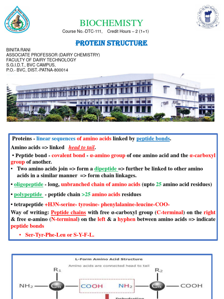 2nd PPT BIOCHEMISTRY Protein Structure 1 | PDF | Beta Sheet | Alpha Helix