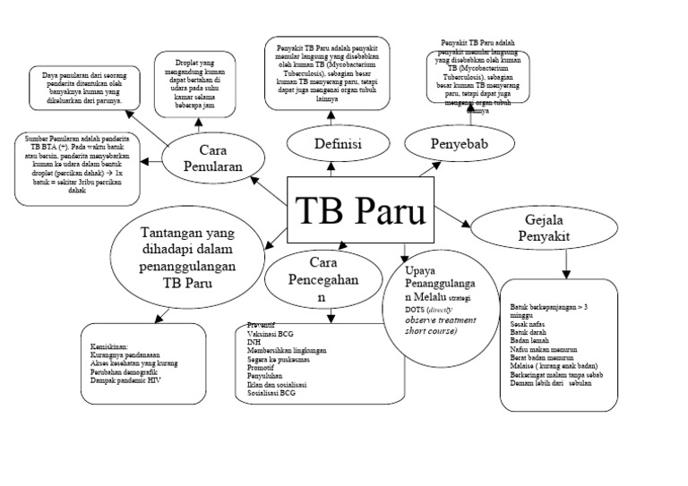 Mind Mapp TB Paru | PDF