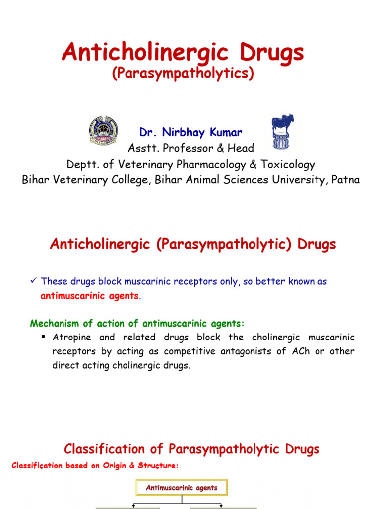Anticholinergic Drugs | PDF | Acetylcholine | Pharmacology