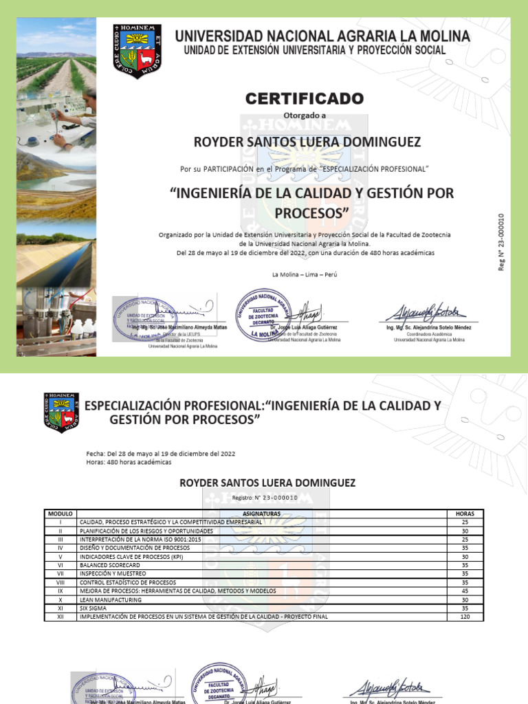 Certificado Icgp | PDF