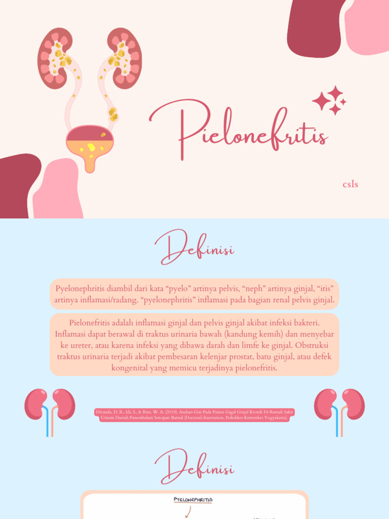 Pielonefritis CC | PDF