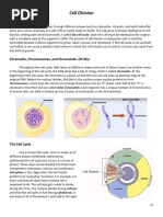 Mitosis Mover Activity Guide | PDF | Mitosis | Chromosome