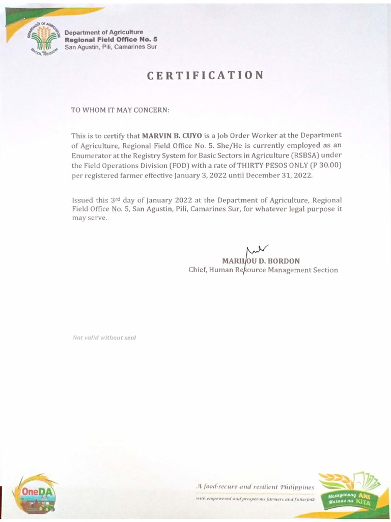 Enumerator Coe | PDF