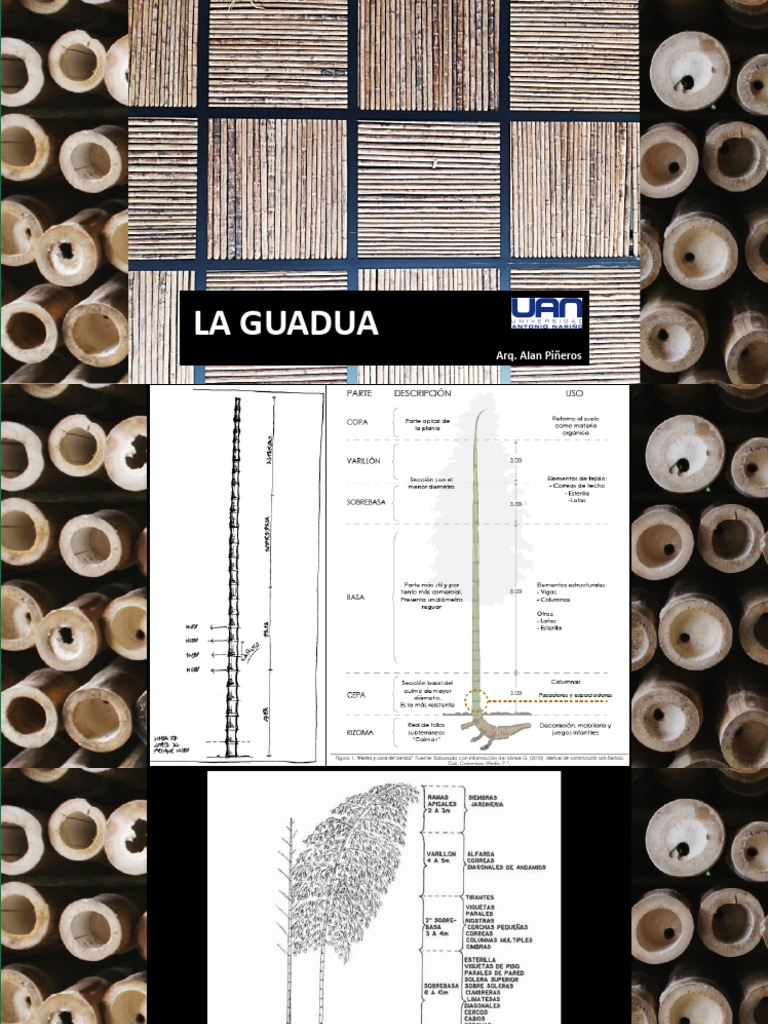 Uso Sostenible de Guadua en Construcción | PDF | Hogar, jardinería y ...