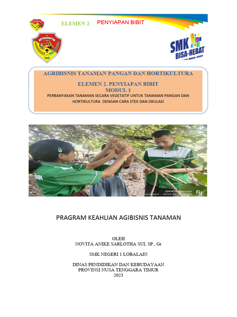 Elemen 2 Modul - Modul Pembelajaran-Novita Sui | PDF