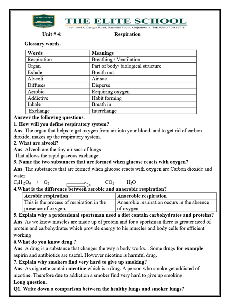c7 Science Dox | Download Free PDF | Respiratory System | Breathing
