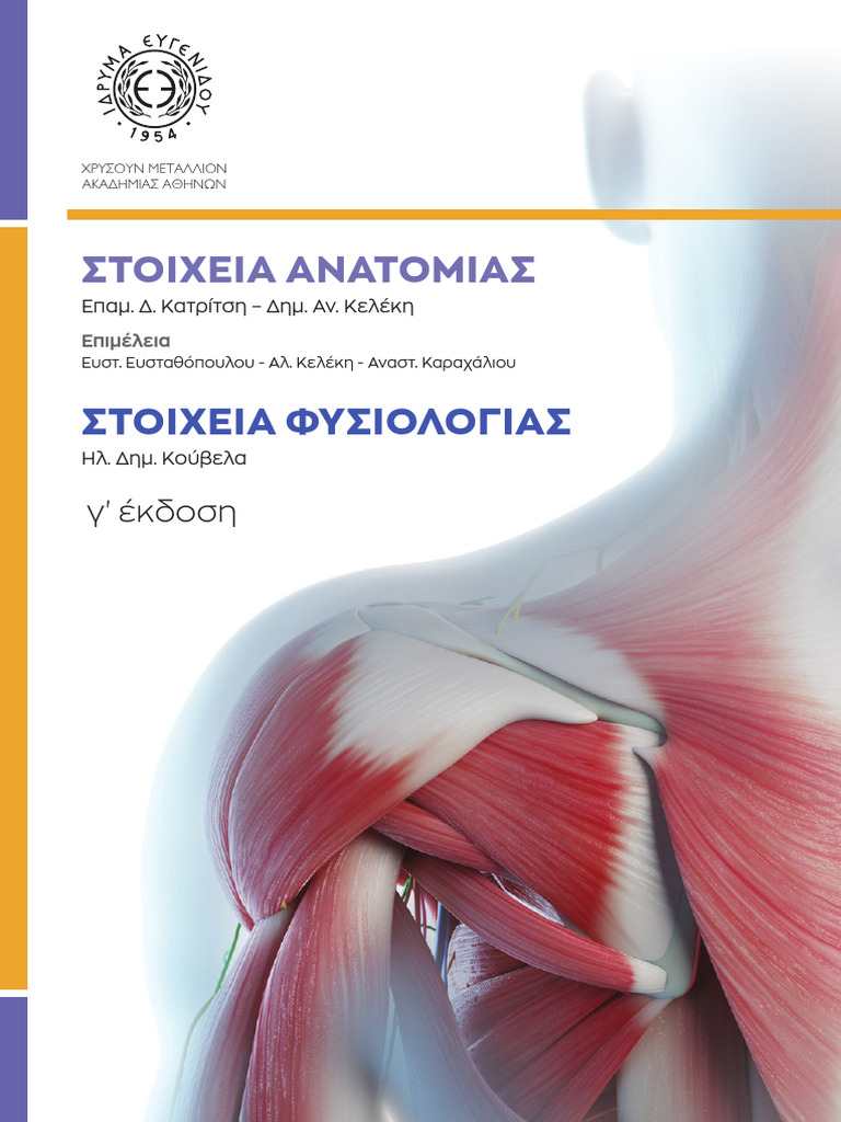 Ανατομία φυσιολογία Επαλ | PDF