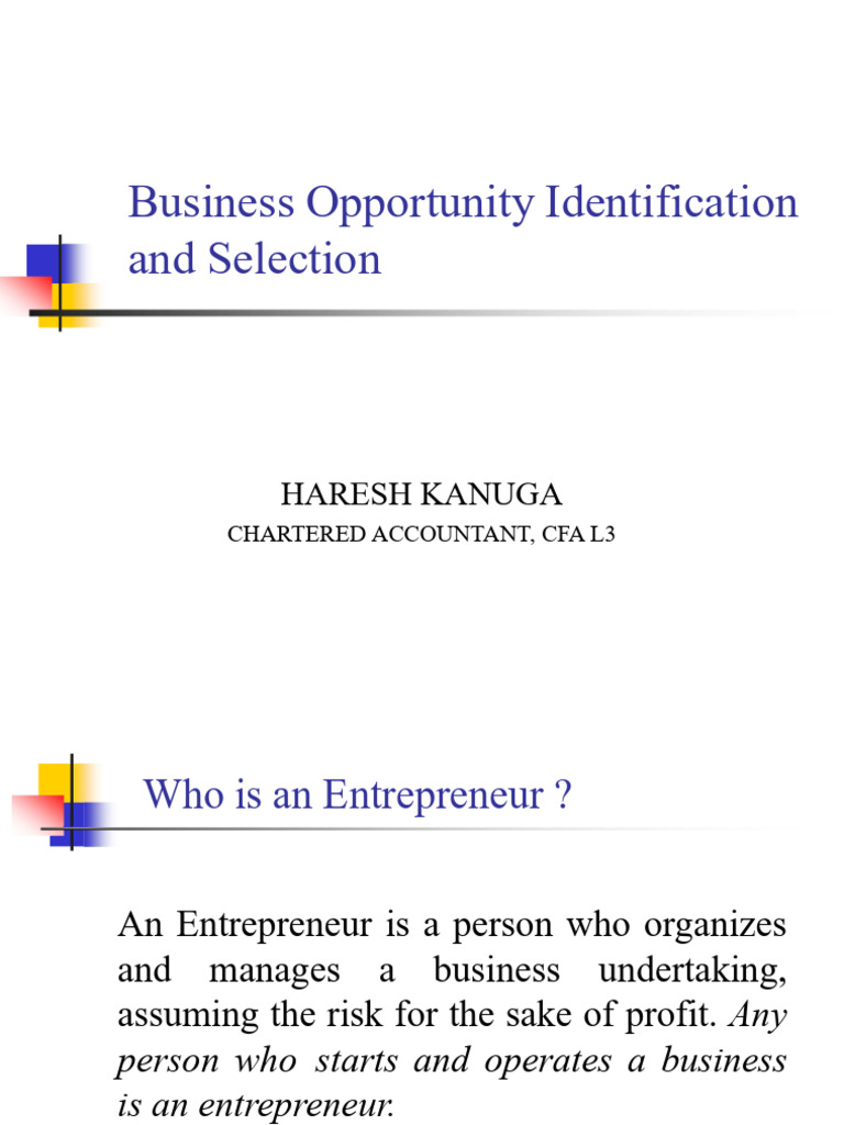 Business Opportunity Identification | PDF | Entrepreneurship | Private ...