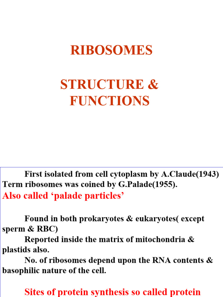 Ribosomes | PDF