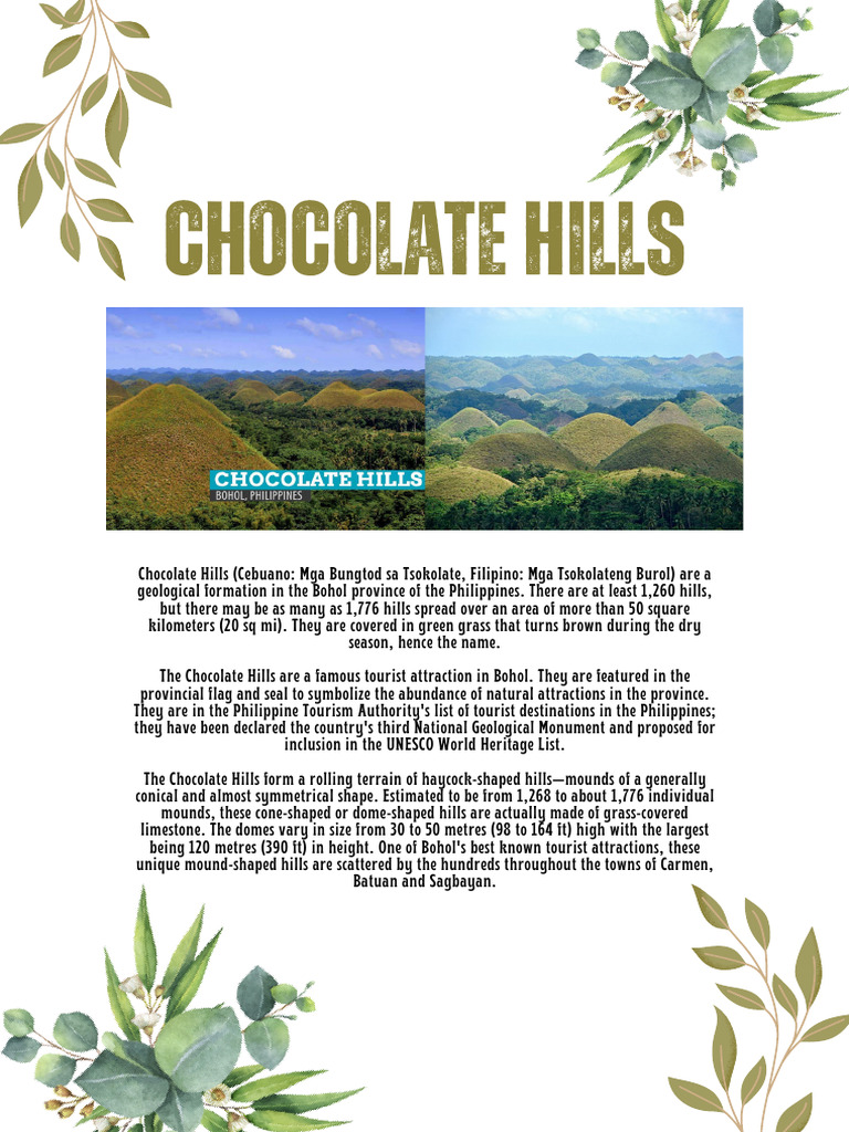 Green White Natural Notes Background A4 Document 20240119 185809 0000 ...