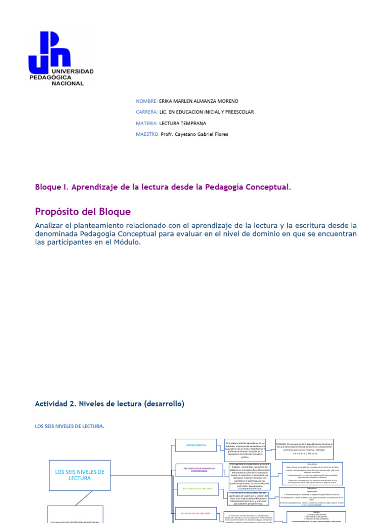 ACTIVIDAD MAPA CONCEPTUAL SEIS NIVELES DE LECTURA | PDF