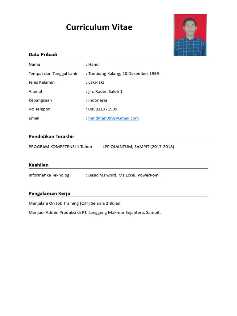 Curriculum Vitae | PDF | Komputer