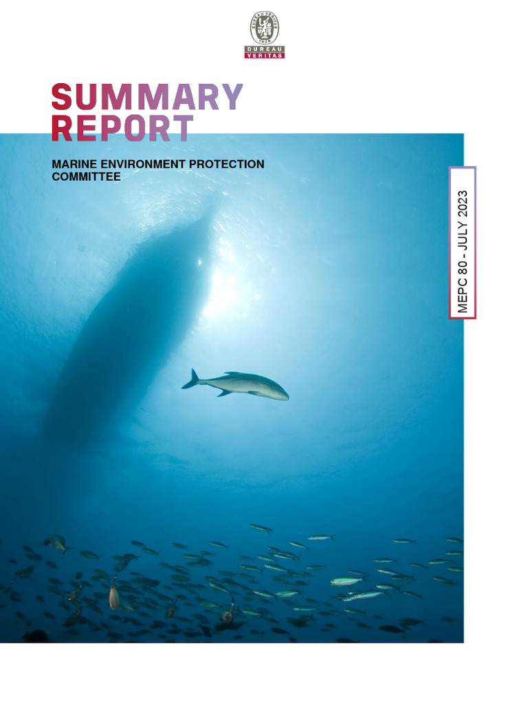 BV Summary Report MEPC 80 PDF | PDF
