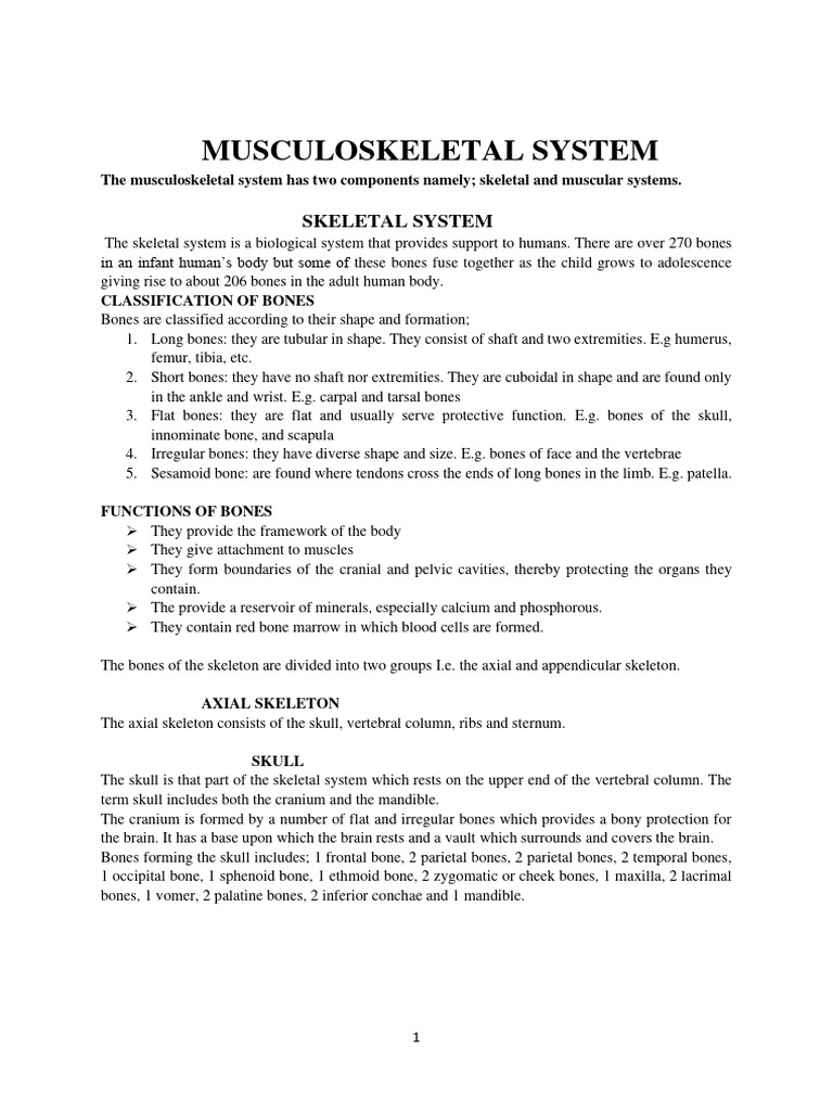 Overview of the Skeletal System | PDF | Vertebra | Vertebral Column