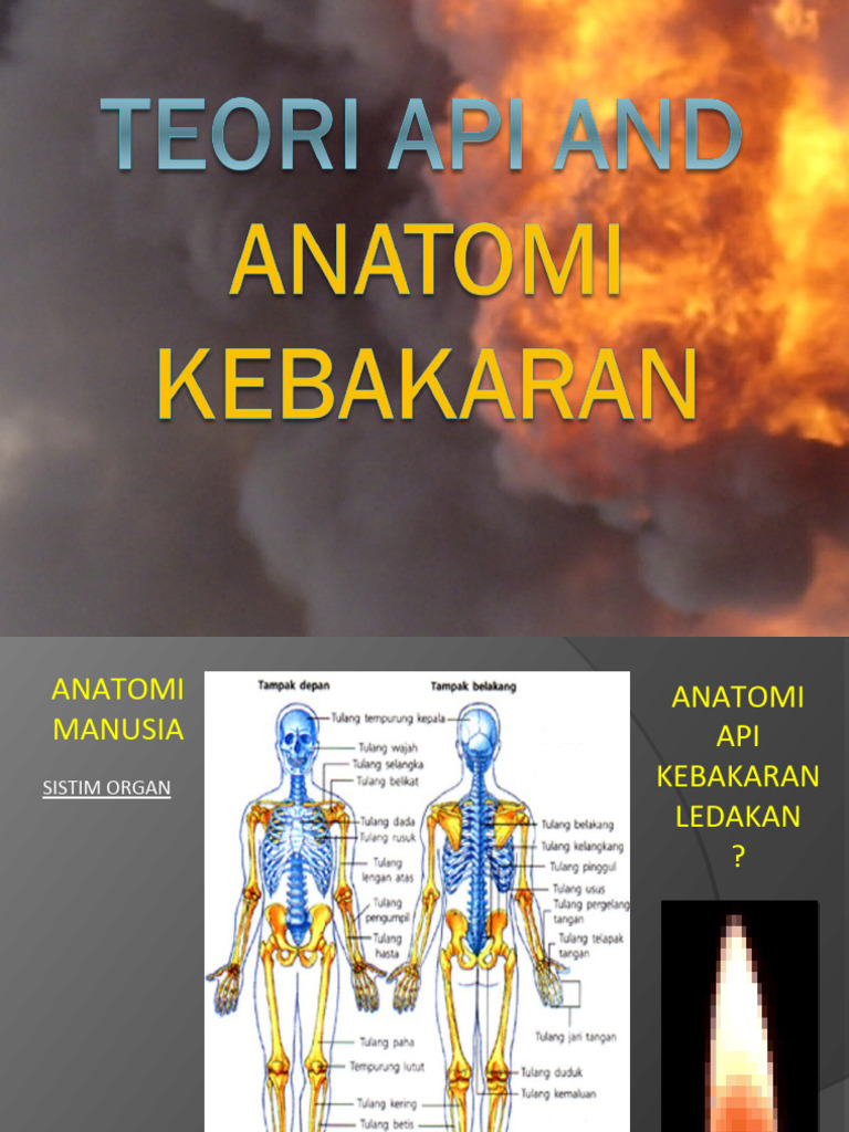 Teori Api Dan Fire Model | PDF