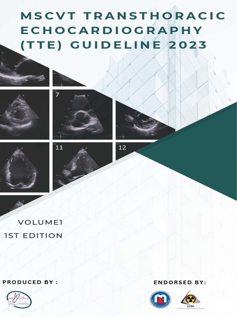 Echo Guidelines D3-4 | PDF