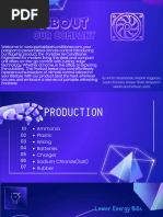 Botswana Vision 2036: Four Pillars | PDF | Sustainability | Botswana