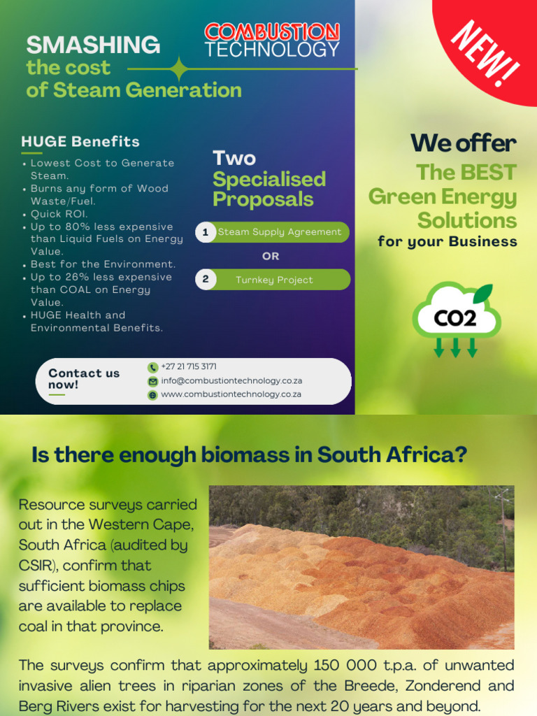 Combustion Technology Biomass Solution.01 | PDF