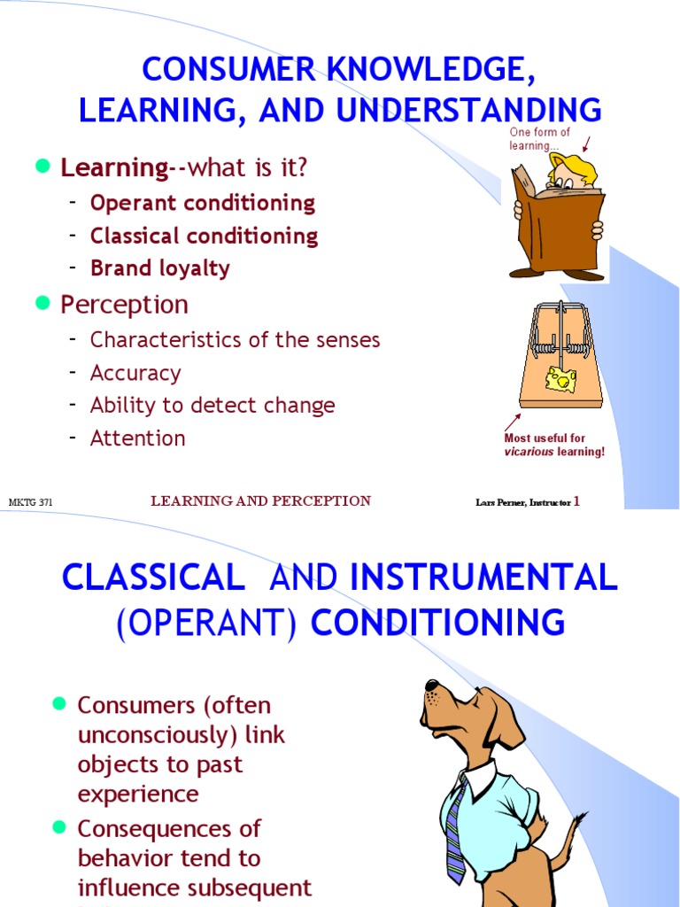 Learning | PDF | Classical Conditioning | Reinforcement