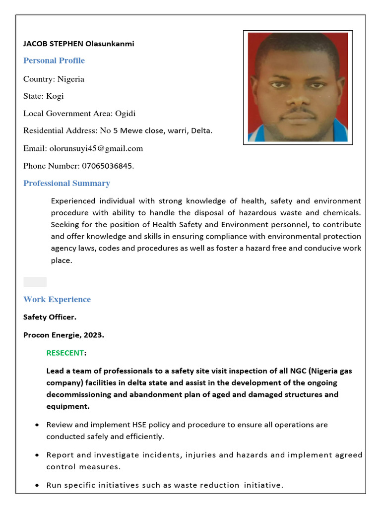 Health and Safety Expert Profile | PDF