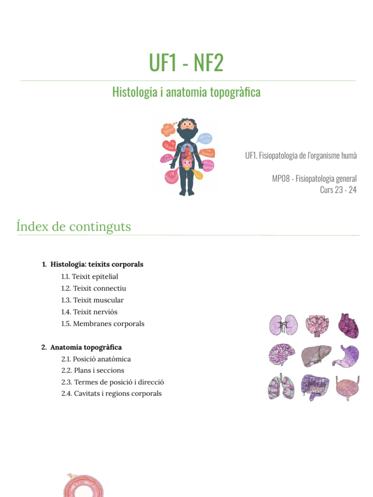 NF2. Histologia I Anatomia Topogràfica | PDF