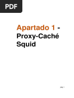 Ejemplos Configuracion Squid | PDF | Servidor proxy | Internet