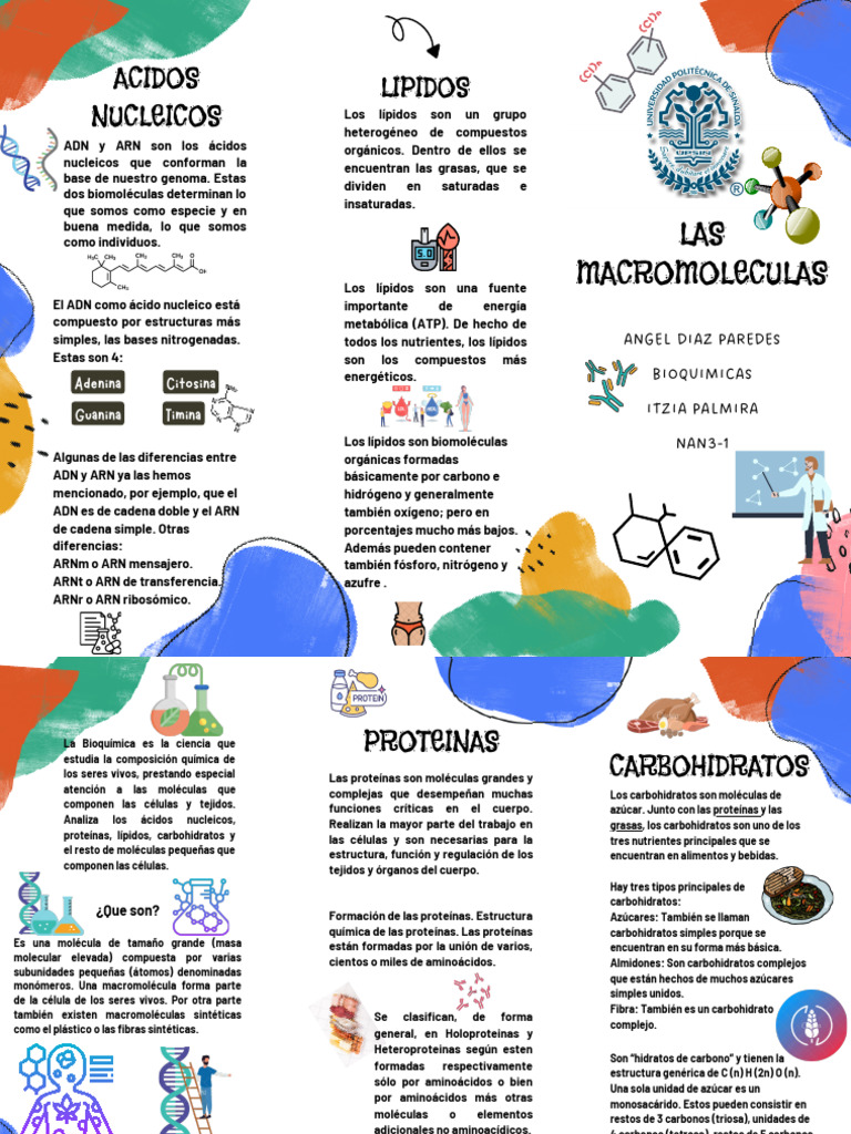 Triptico Informativo | PDF