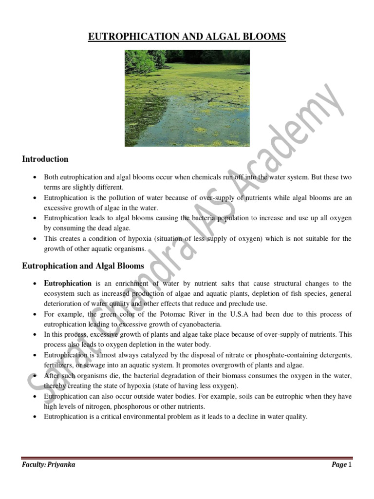 Eutrophication and Algal Blooms | PDF | Eutrophication | Water Pollution
