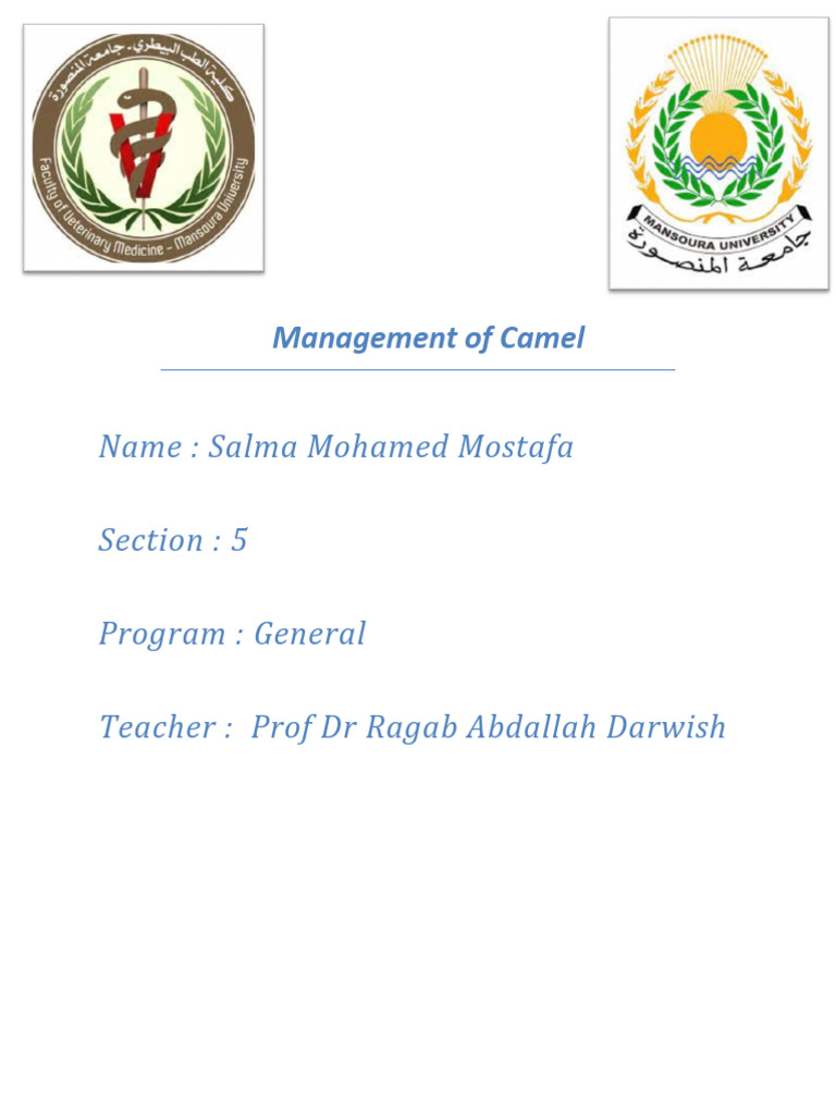 Management of Camel . | PDF | Camel | Domesticated Animals