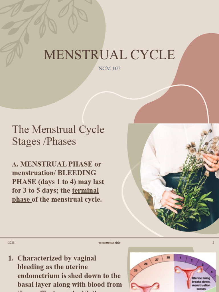 Menstrual Cycle | PDF | Menstrual Cycle | Animal Female Reproductive System