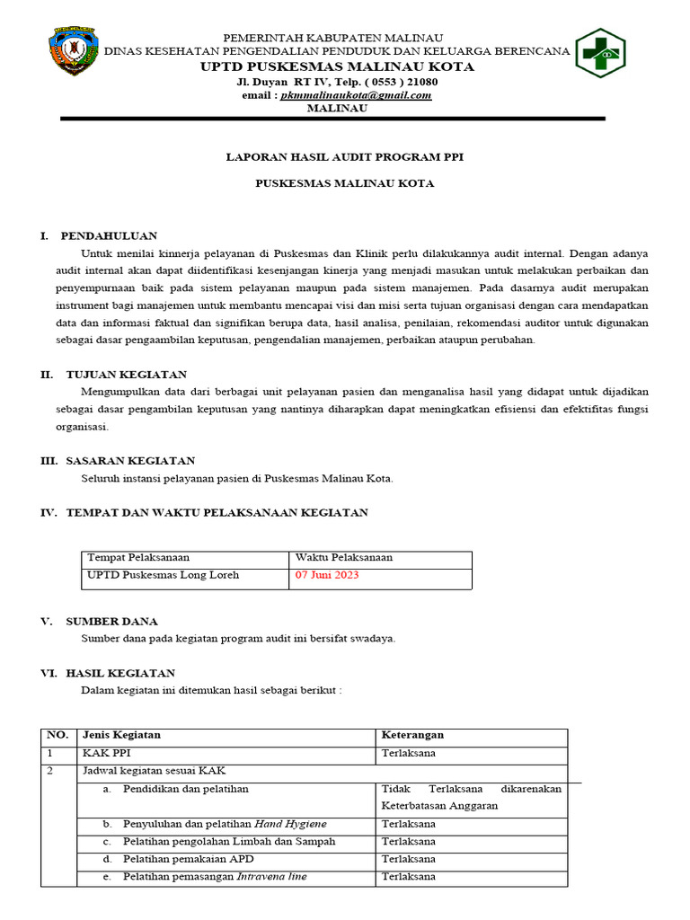 Laporan Audit Hasil PPI | PDF